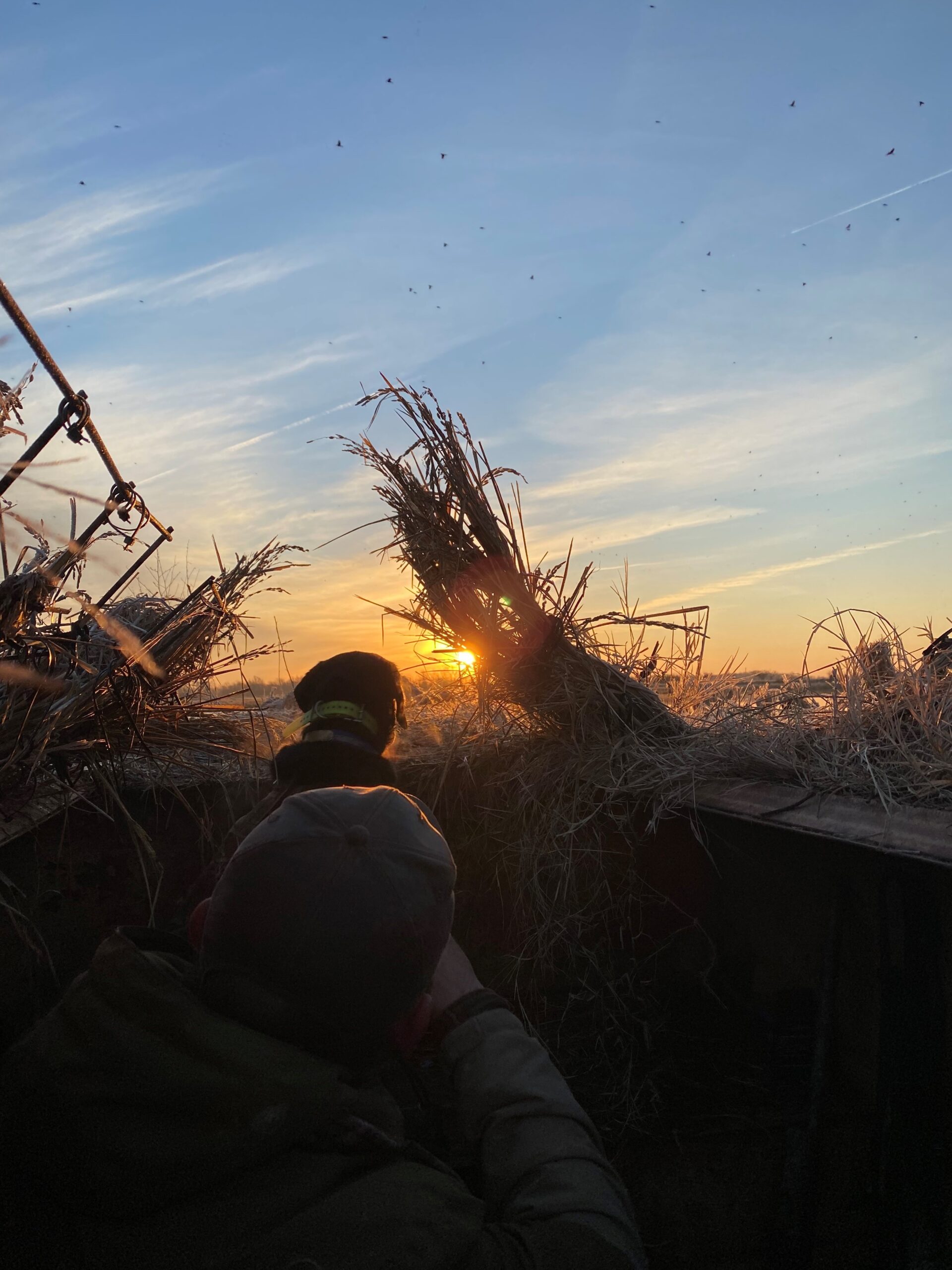 Duck Hunting – Holt Construction Group
